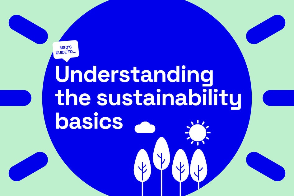 MSQ’s Guide to Understanding the Sustainability Basics