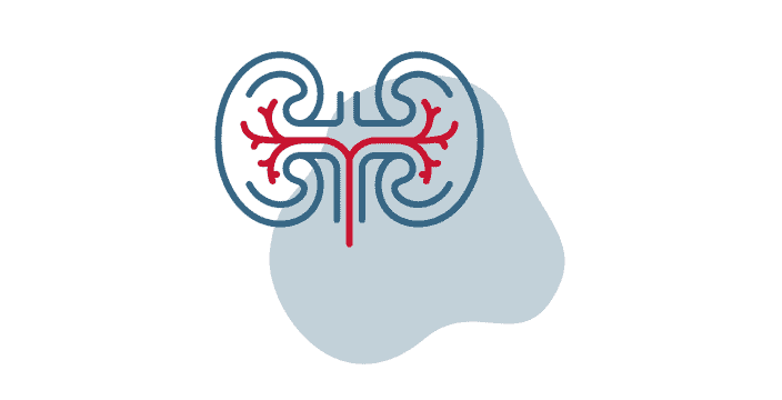 Souffle au cœur et sténose aortique - Comprendre la sténose aortique