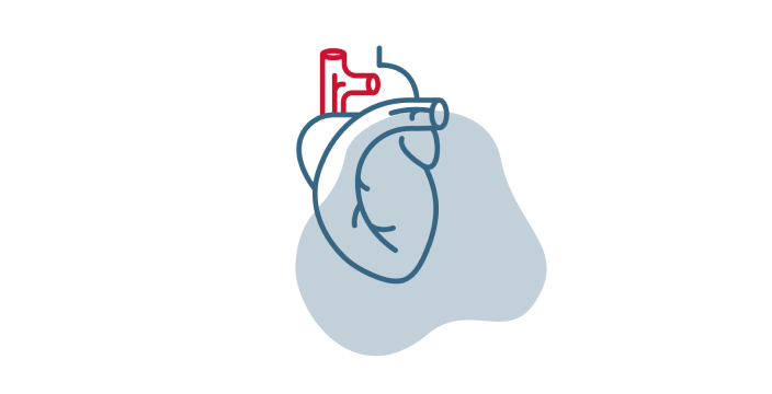 Souffle au cœur et sténose aortique - Comprendre la sténose aortique